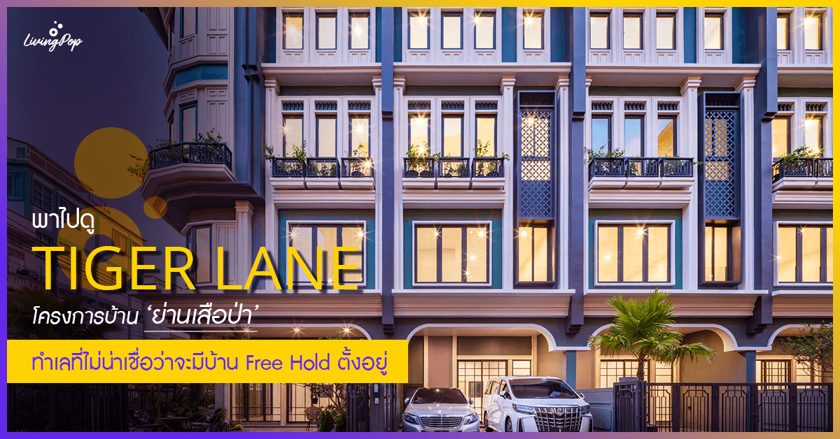 มินิรีวิว "Tiger Lane" โครงการบ้านย่านเสือป่า ทำเลที่ไม่น่าเชื่อว่าจะมี ...