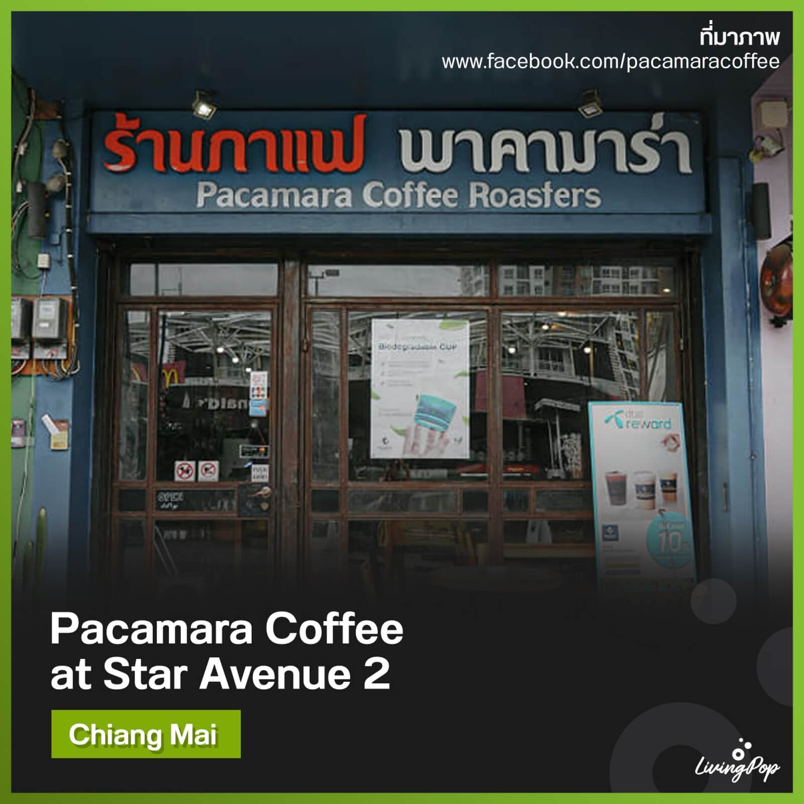 พาไปดูทุกสาขาของ "PACAMARA Coffee Roasters" ร้านกาแฟ Specialty ชื่อดังของคนไทย — LivingPop