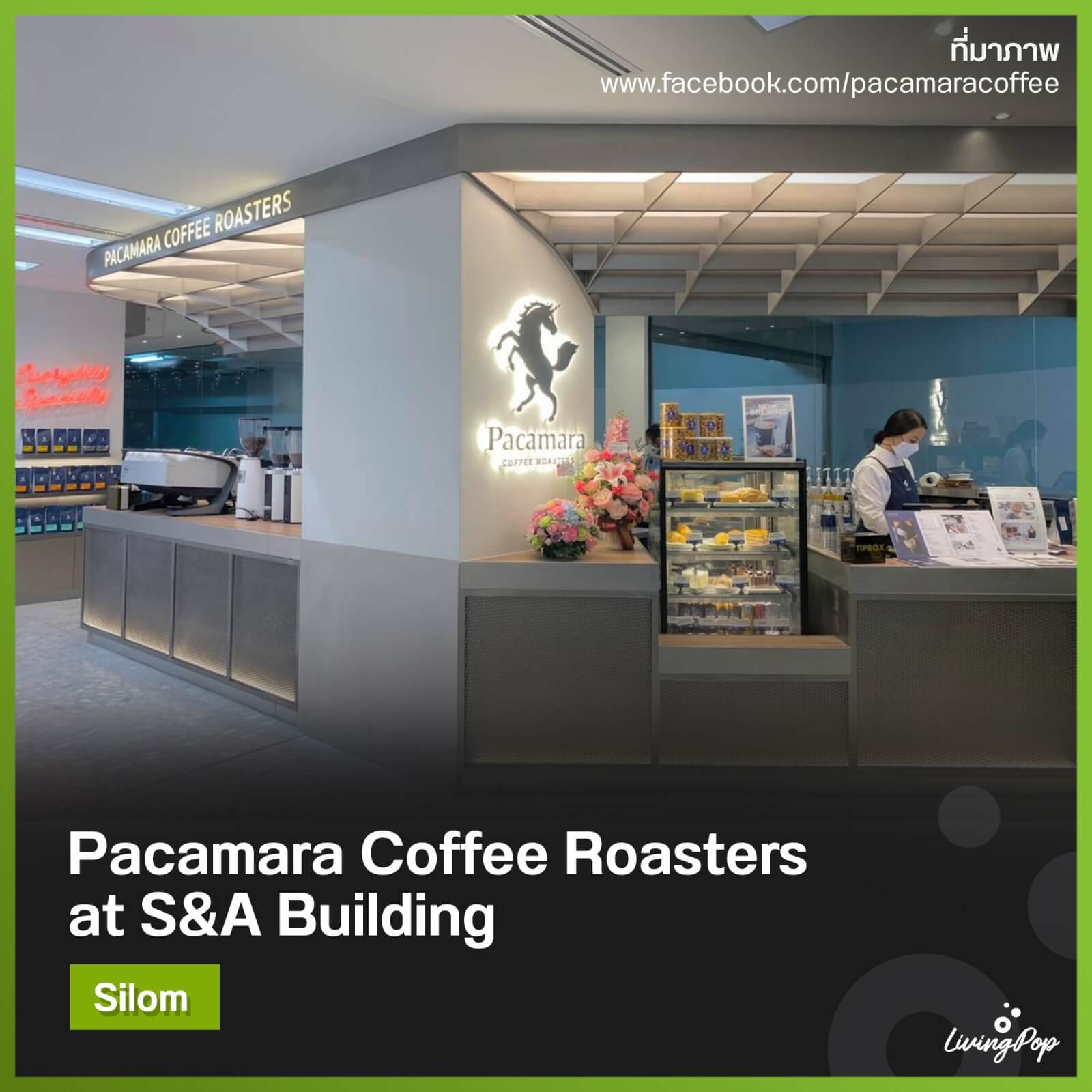 พาไปดูทุกสาขาของ "PACAMARA Coffee Roasters" ร้านกาแฟ Specialty ชื่อดัง ...