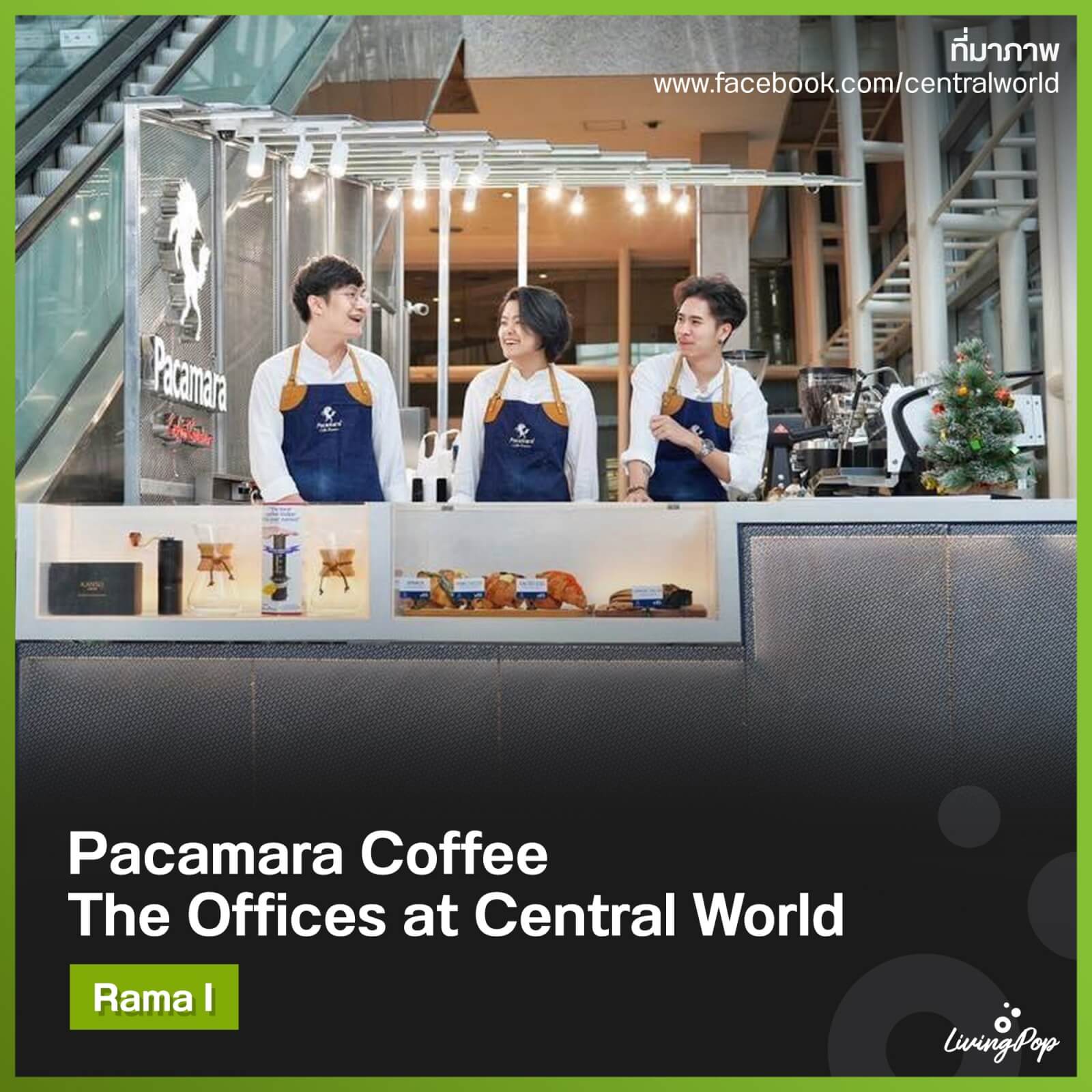พาไปดูทุกสาขาของ "PACAMARA Coffee Roasters" ร้านกาแฟ Specialty ชื่อดัง ...