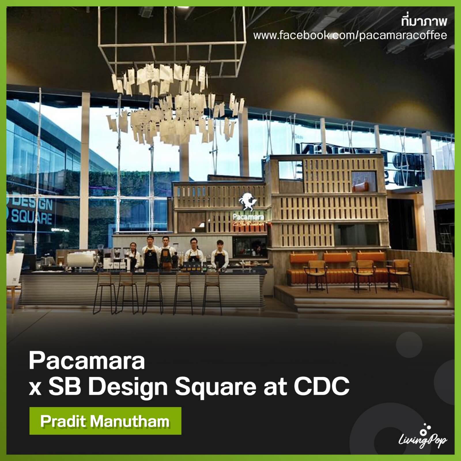 พาไปดูทุกสาขาของ "PACAMARA Coffee Roasters" ร้านกาแฟ Specialty ชื่อดังของคนไทย — LivingPop