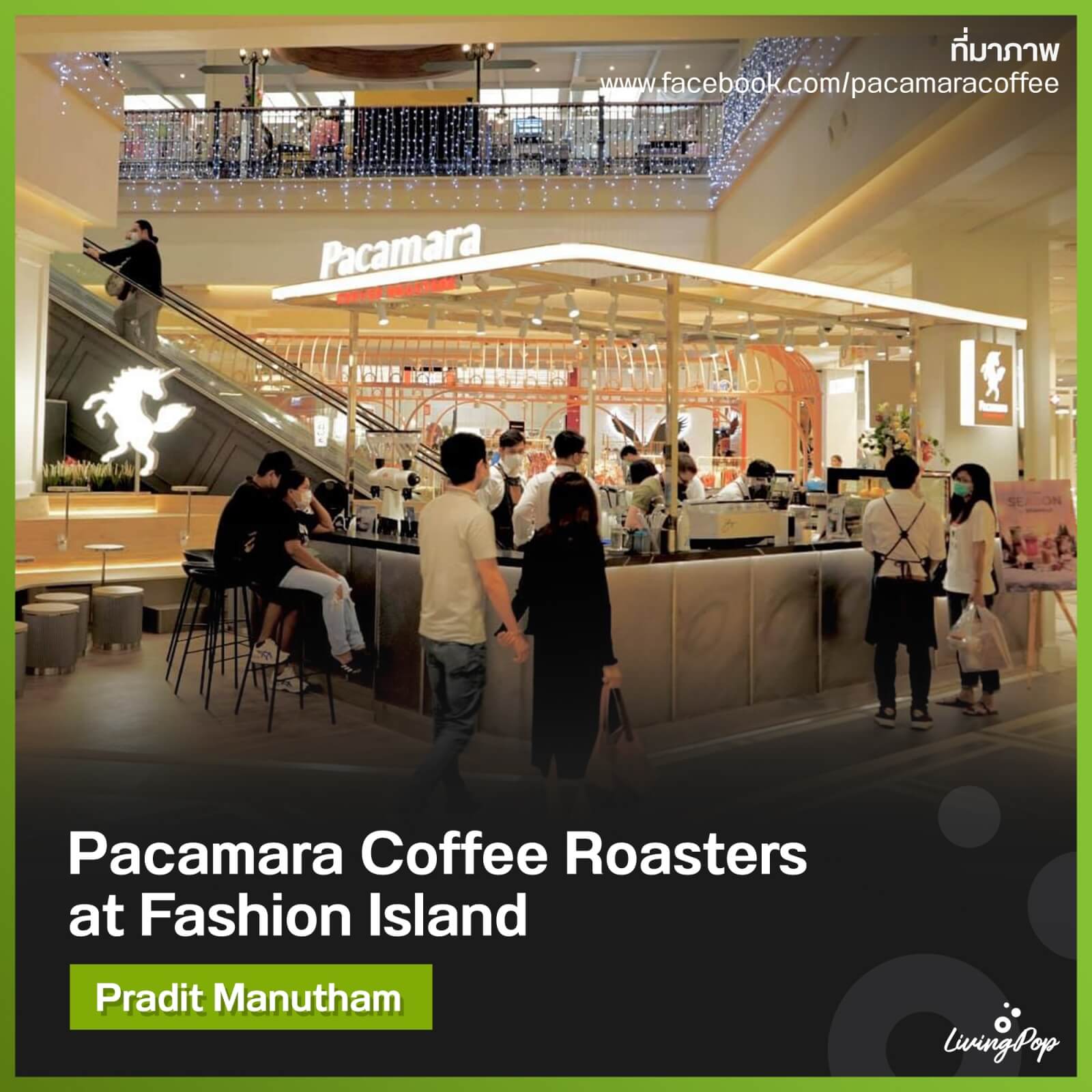 พาไปดูทุกสาขาของ "PACAMARA Coffee Roasters" ร้านกาแฟ Specialty ชื่อดังของคนไทย — LivingPop