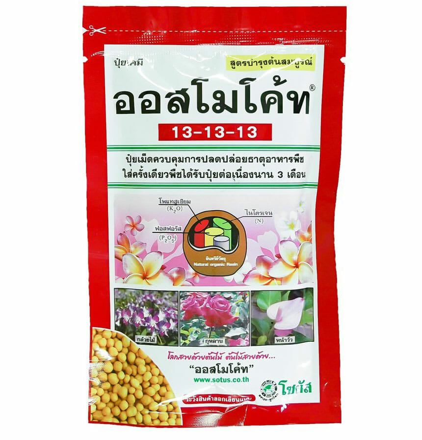 มารู้จักกับ ปุ๋ย ออสโมโค้ท อาหารเสริมจานโปรดของแคคตัส — LivingPop