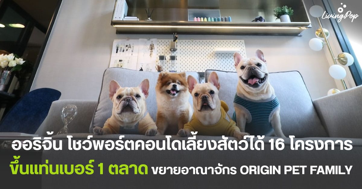 ออริจิ้น โชว์พอร์ตคอนโดเลี้ยงสัตว์ได้ 16 โครงการ ขึ้นแท่นเบอร์ 1 ตลาด ...